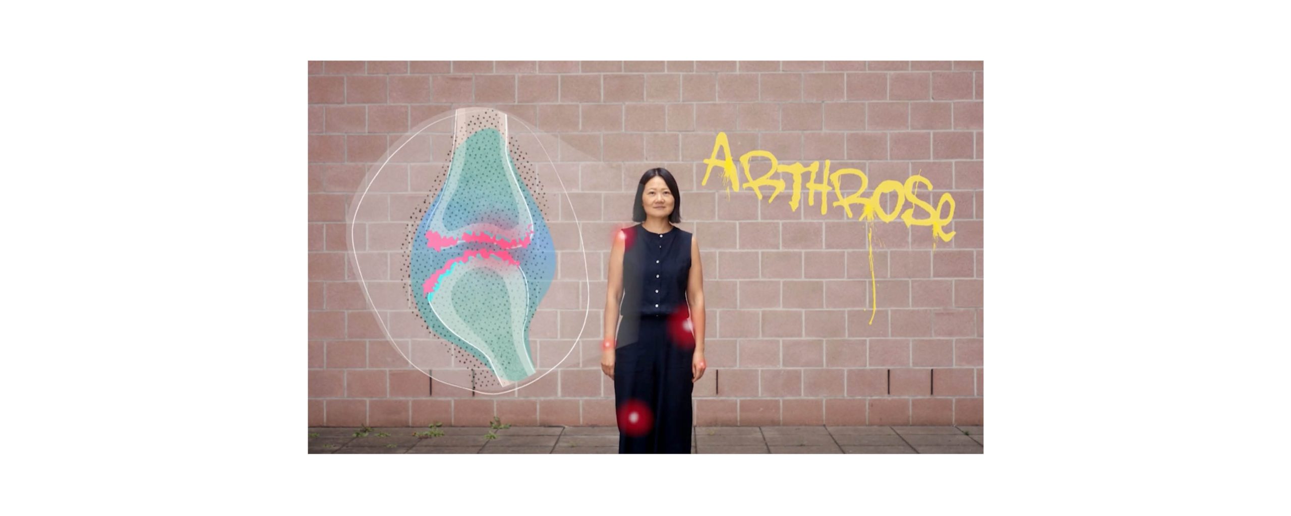 Ping Shen im ARTE Interview - DRFZ