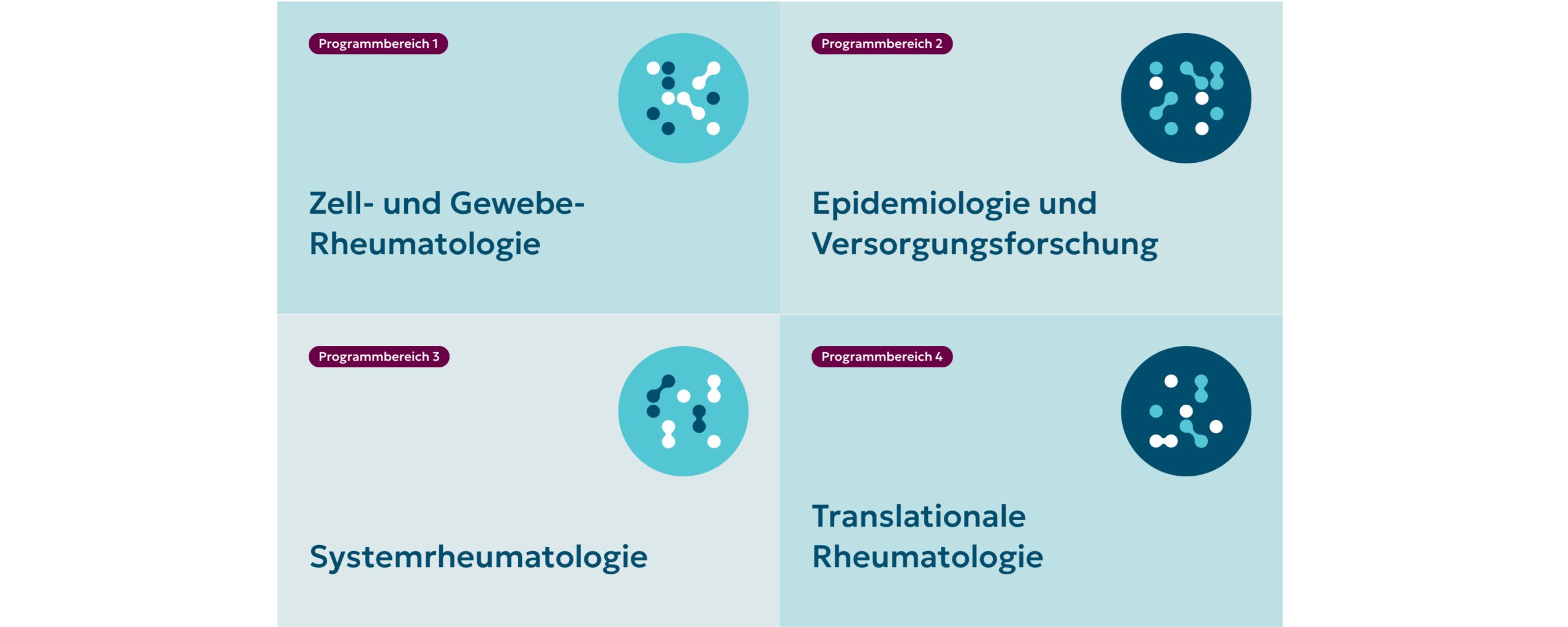 Neue Forschungsbereiche am DRFZ - DRFZ